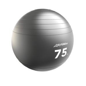 STABILITY BALL - Life Fitness