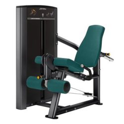 AXIOM SERIES LEG EXTENSION - Life Fitness