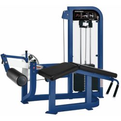 HAMMER STRENGTH SELECT LEG CURL - Life Fitness